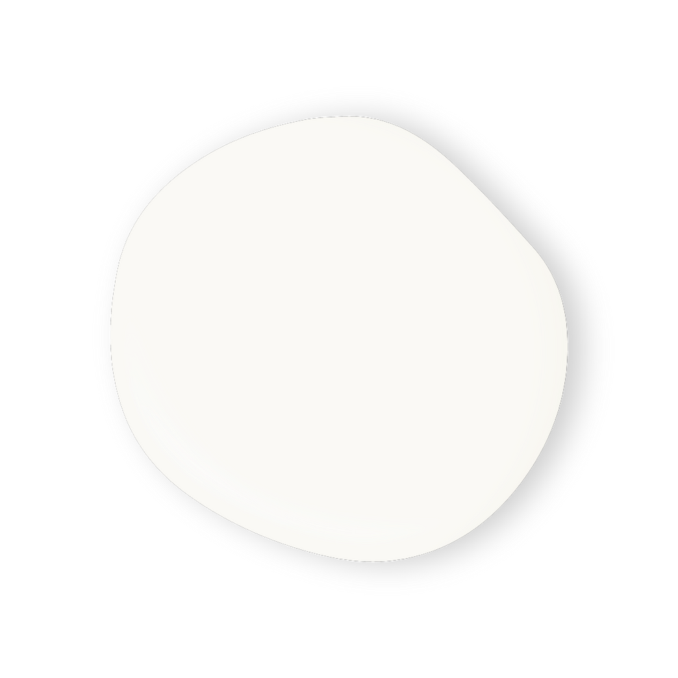 Opulent- White Owl – Lilly Moon Paint