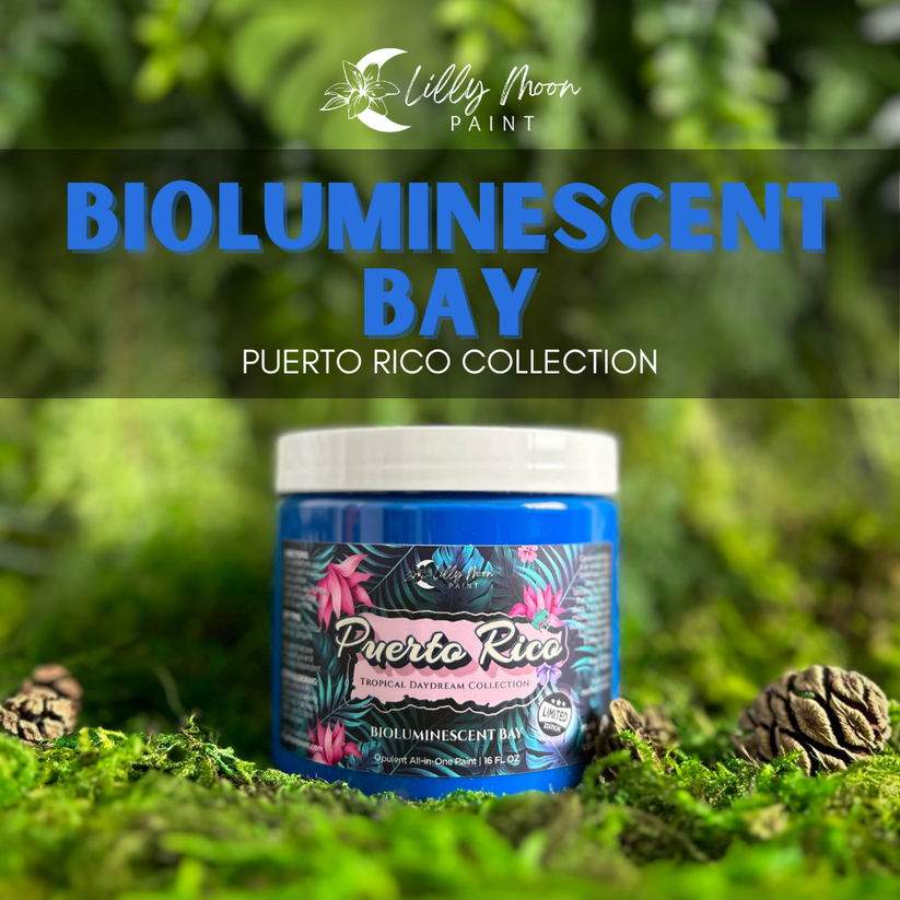 Opulent- Bioluminescent Bay – Lilly Moon Paint